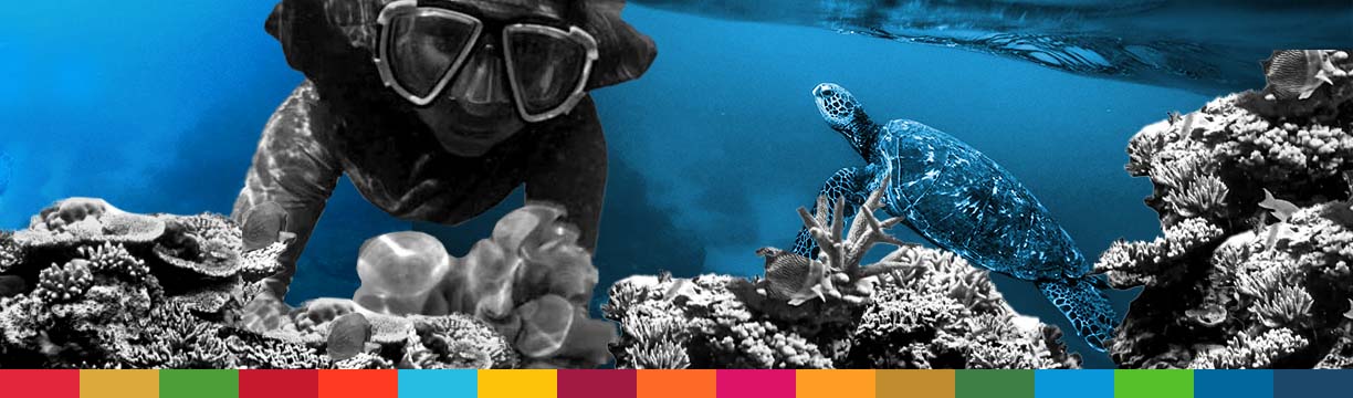 2022 – Reports | SDG 14 – Life Below Water – ISU for Sustainability